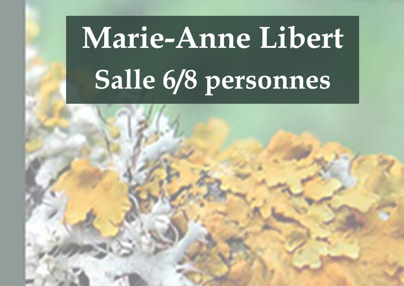 Réservation de salle - Salle Marie-Anne Libert (Santé - CHU) - Book it ...